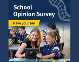 School Opinion Survey