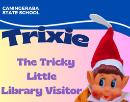 Caningeraba Library Visitor